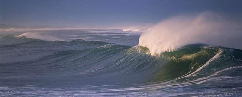 Learn more about the concept of water column | Nausicaa