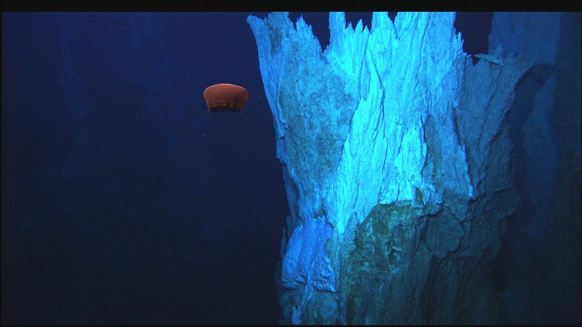 Geography of the abyss: what does the deep seabed look like? | Nausicaa