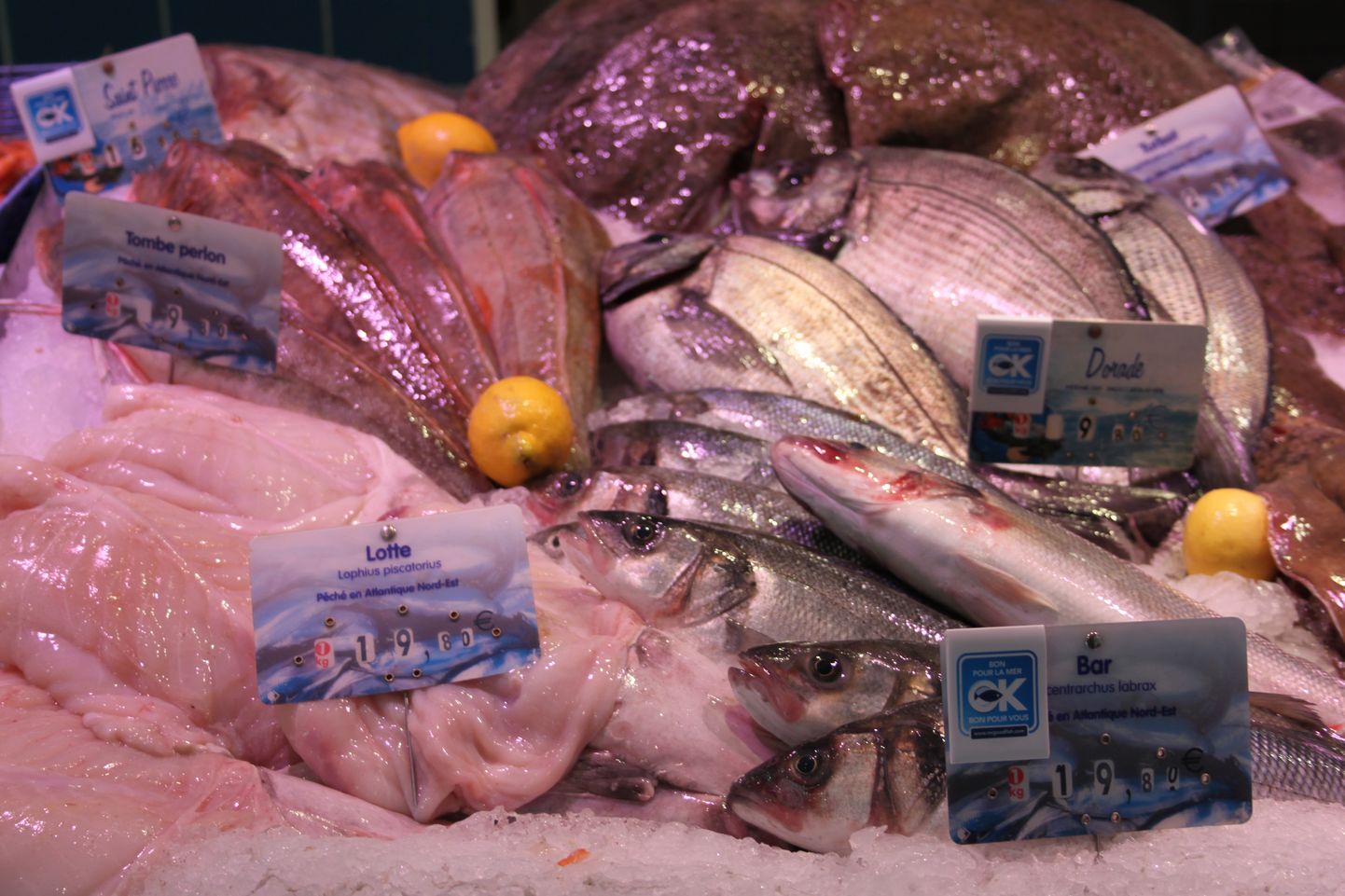 La consommation responsable des produits de la mer, un bienfait pour l ...