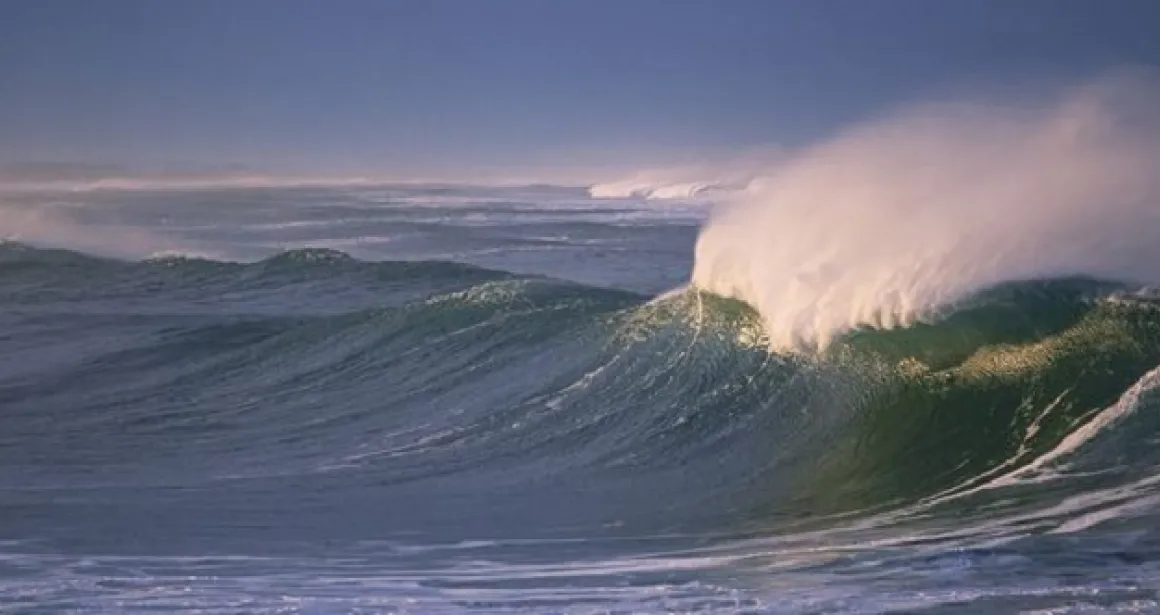 Learn more about the concept of water column | Nausicaa