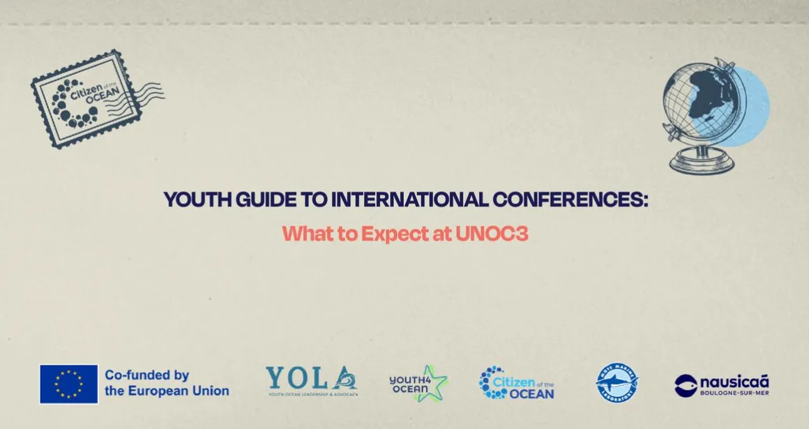 The keys to understanding an international conference | Nausicaa