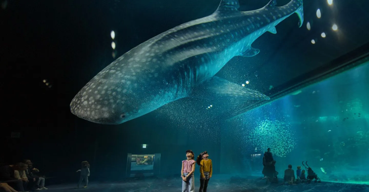 Op reis in volle zee | Nausicaa