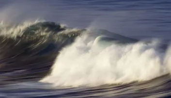 Learn more about the concept of water column | Nausicaa