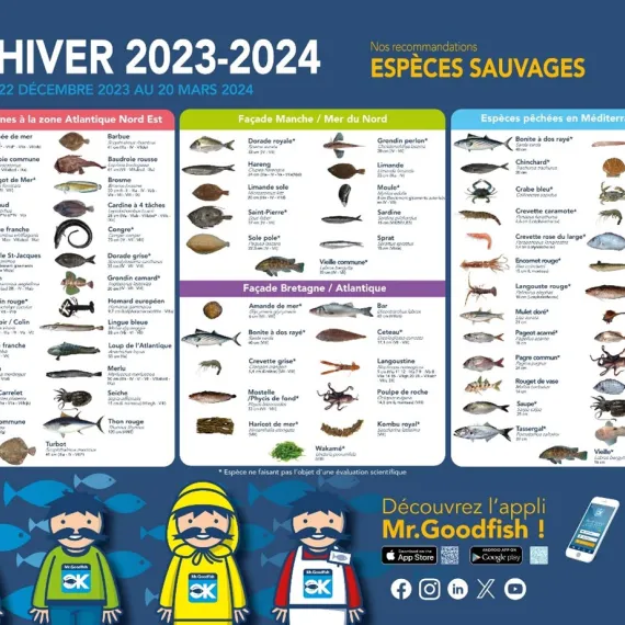 Learn more about Mr. Goodfish programme | Nausicaa