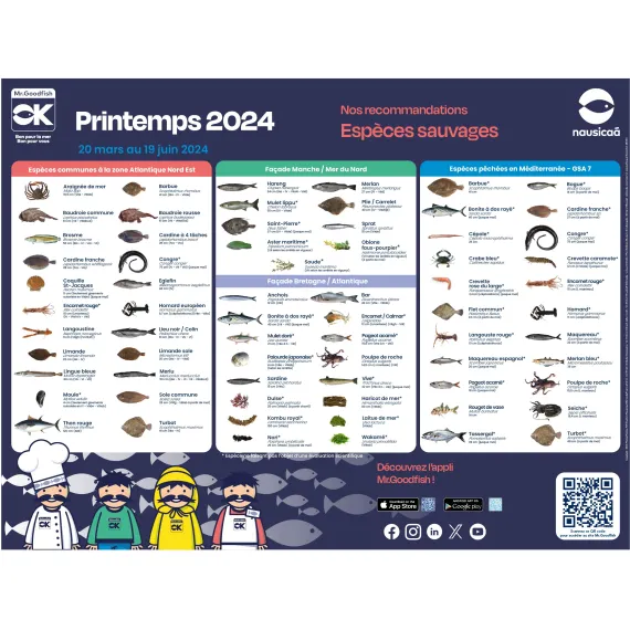Learn more about Mr. Goodfish programme | Nausicaa